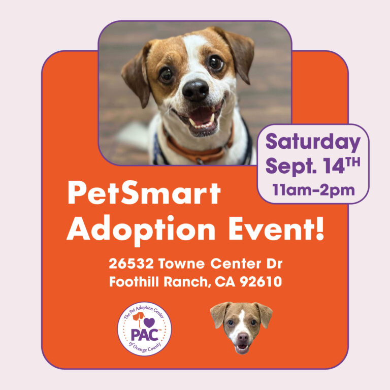 PetSmart Dog Adoption Event on Sat., Sept. 14th 11am-2pm – The Pet ...