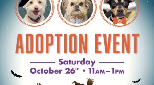 The Pet Adoption Center of Orange County – Pets. Family. For Life.