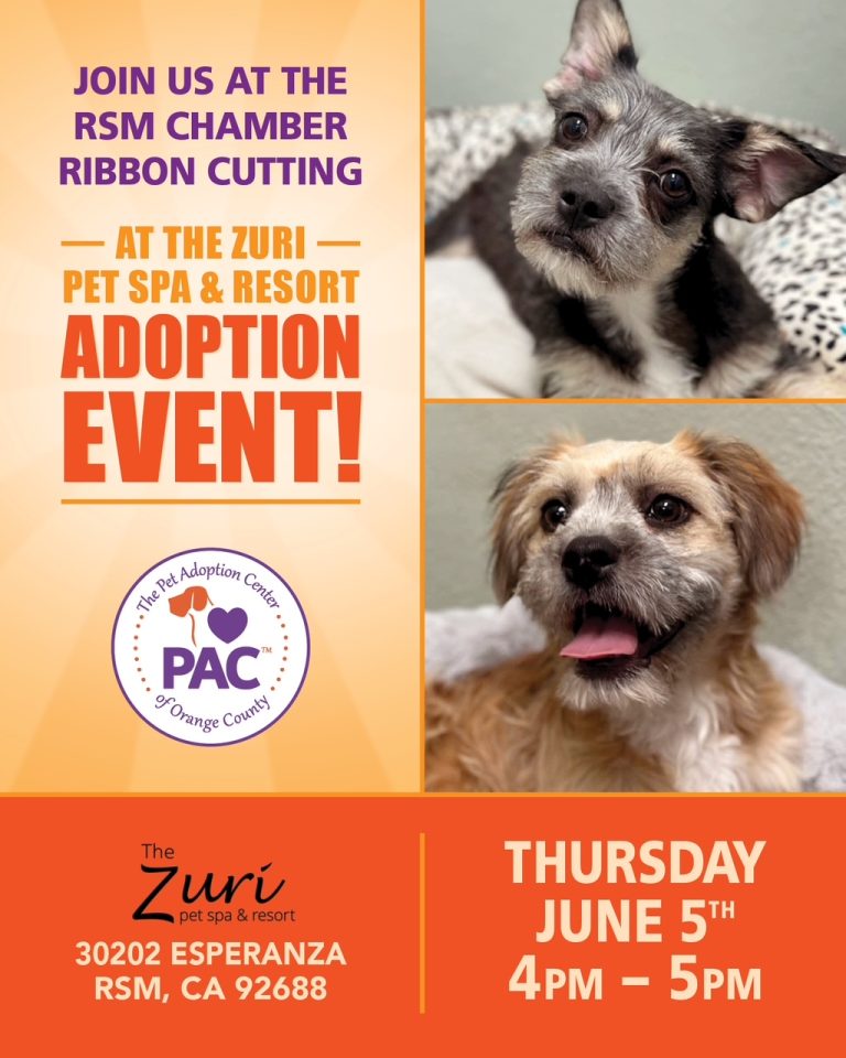 Petsmart Rancho Santa Margarita